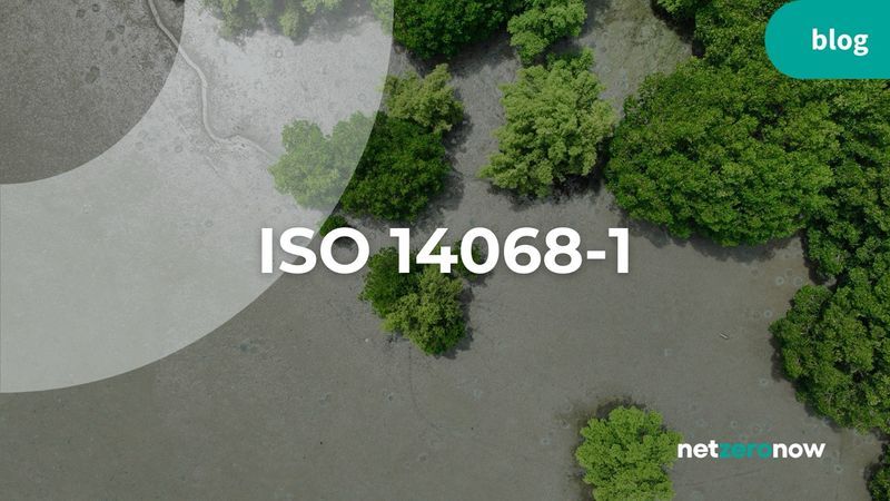 ISO 14068-1: Transitioning to the New Carbon Neutrality Standard in 2025